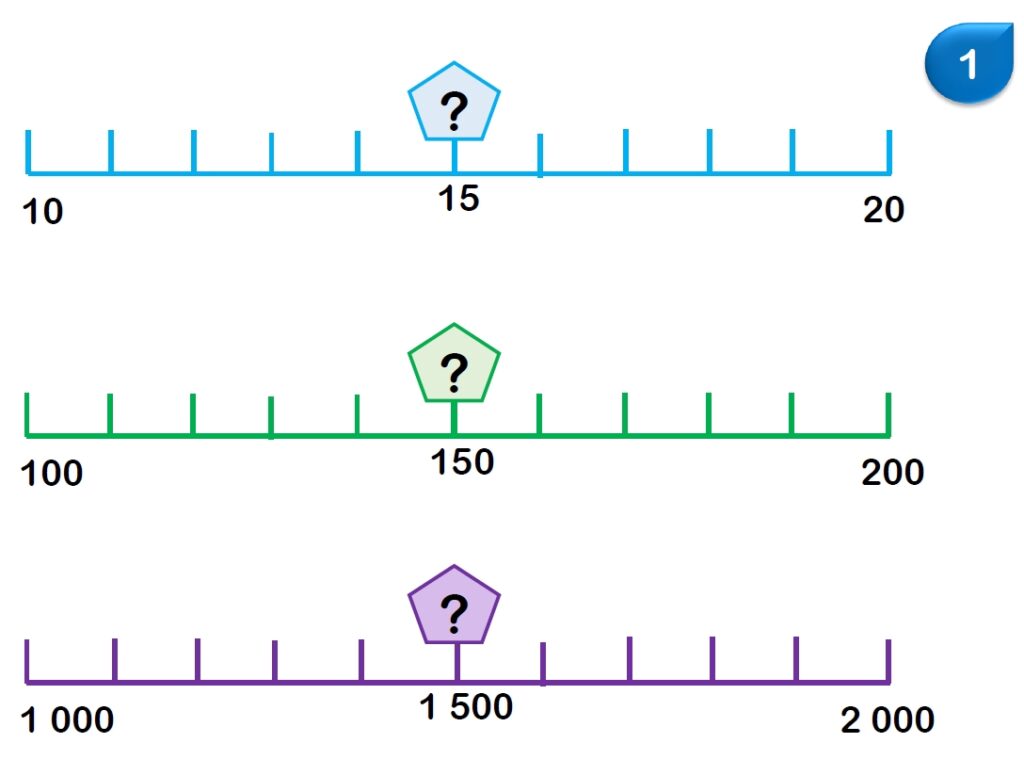 Rituel cycle 2 : repérage droite numérique - Classe à deux