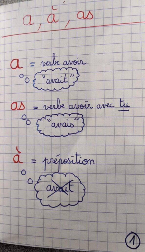 Affichages homophones et carnet d’orthographe - Classe à deux